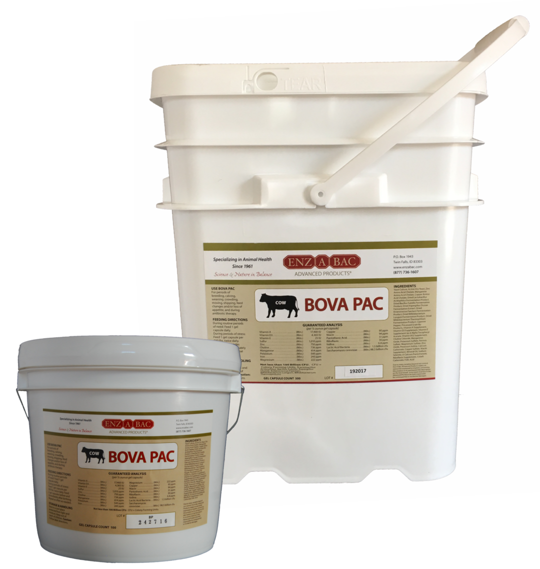Bova Pac | Enzabac Advanced Products